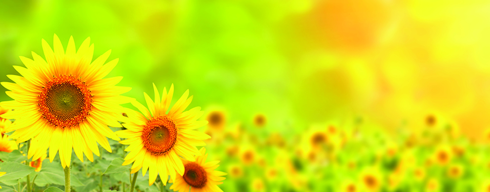 Home | Ela Area Public Library